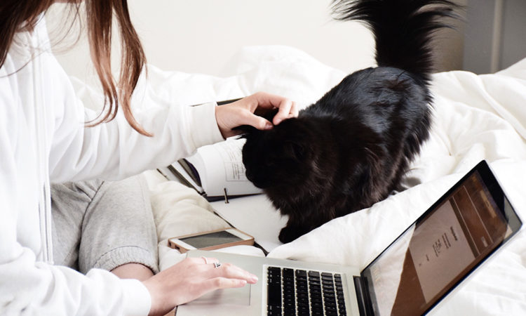 What is screen fatigue and how can you reduce it? | Miss FQ