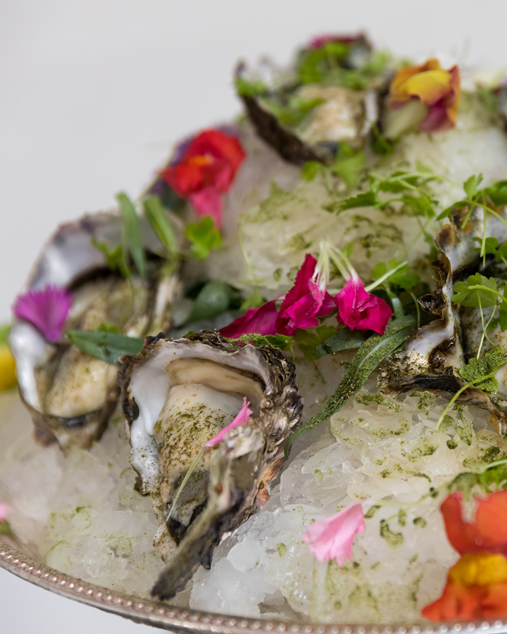 How to eat oysters for the first time like you're a pro | Miss FQ