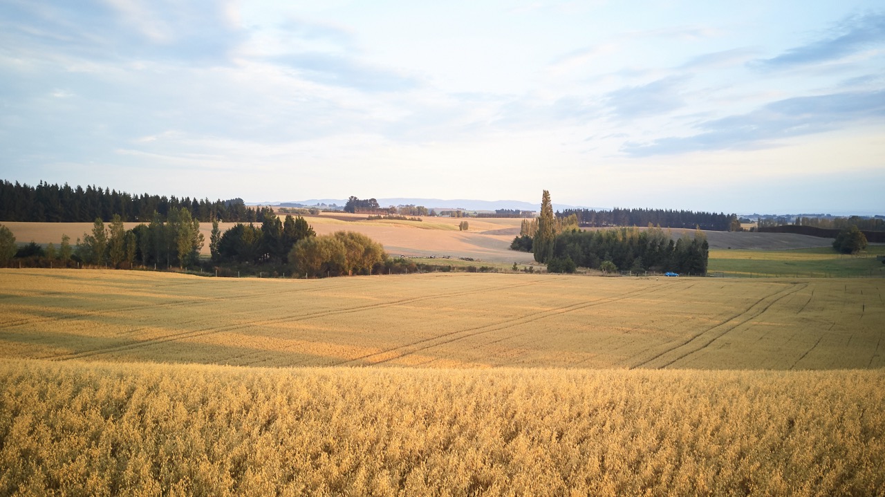 Fashion Quarterly | Meet Our Friday Muse, Morgan Maw from Boring Oat Milk