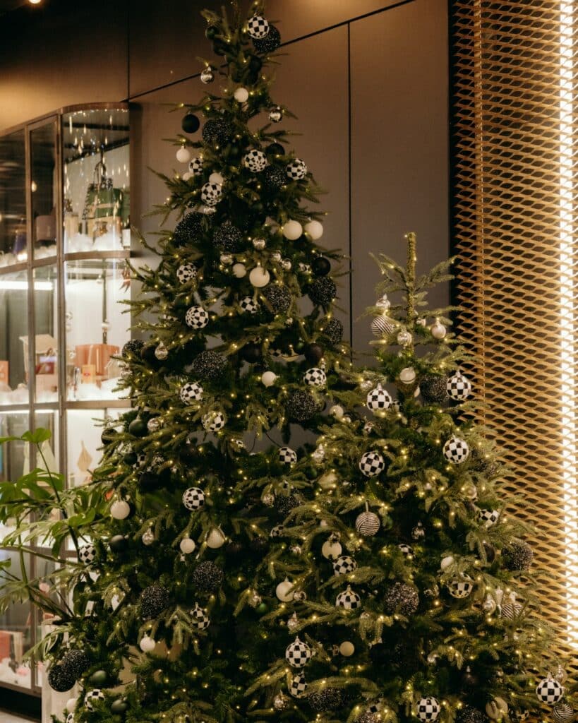 4 Reasons You'll Find Us at Commercial Bay This December | FQ